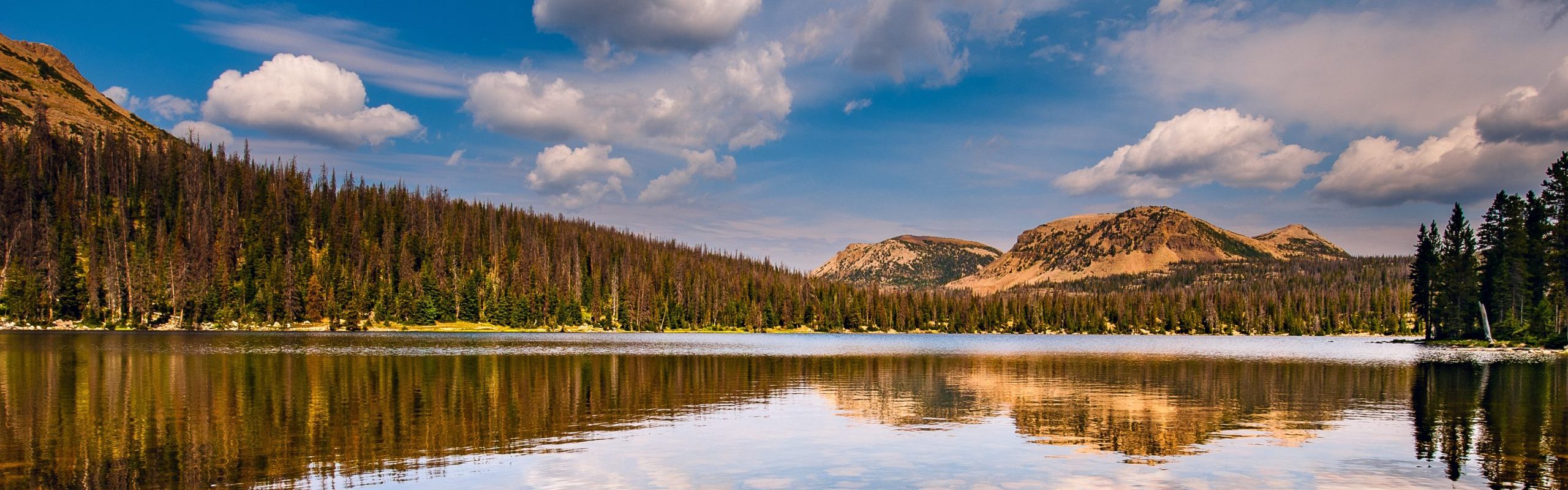 Therapy and Counseling Draper Utah | Steven J. Chen, PhD